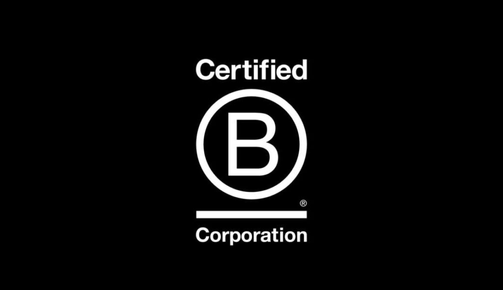 Collaboration is key to meet growing demands for B Corp certification ...